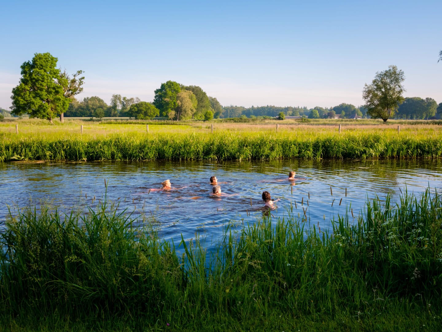 Domein Groot Besselink – Rust, natuur en bezinning.